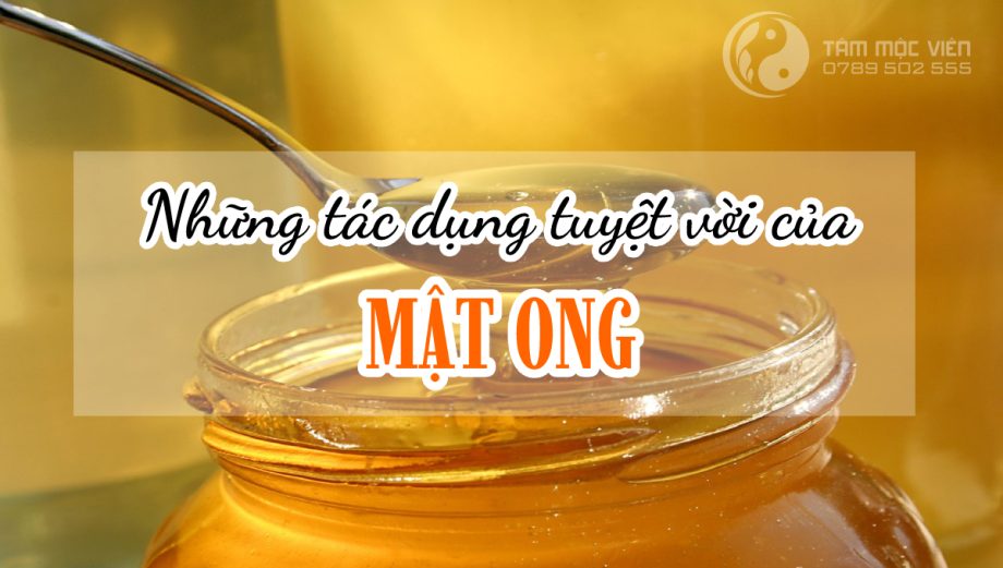 Những tác dụng tuyệt vời của mật ong - Tuệ Y Đường-tac-dung-cua-mat-ong