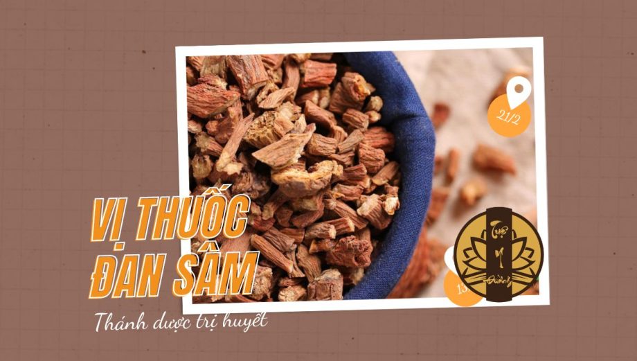 ĐAN SÂM - THÁNH DƯỢC TRỊ HUYẾT - Tuệ Y Đường0