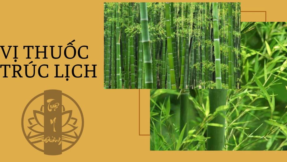 TRÚC LỊCH - VỊ THUỐC GẦN GŨI TRONG DÂN GIAN - Tuệ Y Đường0